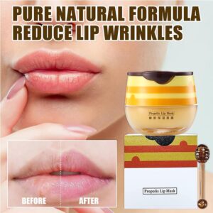 4PCS Honey Lip Balm Honey Pot & Strawberry Sleeping Lip Mask, Propolis Moisturizing Honey Lip Mask Lip Balm, Hydrating & Prevention Dry and Cracked Lip Scrubs Exfoliator, Winter Lip Care Products