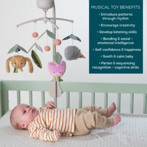 Taf Toys Baby Crib Mobile with Music and Lights - Musical Crib Toy with Non-Repeating Classical Melodies, Stimulates Baby's Senses and Emotional Intelligence, Ideal for Boys and Girls Nursery Decor