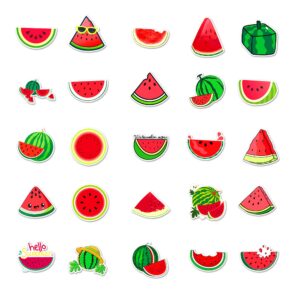 Watermelon Stickers, 50PCs Pack, Cute Fruits Aesthetic Stickers, Vinyl Waterproof Decals, Stickers for Laptop, Hydro Flask, Water Bottle, Bumper Car Planner Stickers, Stickers for Kids, Toddlers, Teens, Girls, Adults (Watermelon)