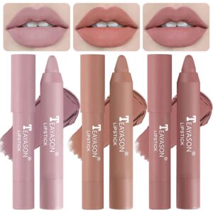 3 colors liquid matte lipstick set, velvet air moisture smooth crayon nude lipstick,ultimate nourishing lipstick 24 hour long lasting waterproof lip gloss lipstick for women makeu (set f)