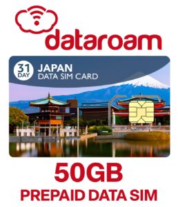 japanese data only sim card - 50gb bundle 4g lte speed. throttles after bundle but doesn't stop working.