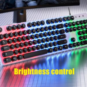 Dilwe H300 Mechanical Gaming Keyboard, 104 Keys USB Wired Computer Keyboard, RGB Backlit PC Gaming Keyboard for Windows 7, 8, 10, 11(Black)