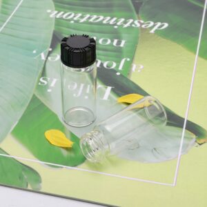 0.3 Oz Clear Glass Vials with Screwcap Empty Bottles Liquid Sample Glass Bottles for Travel, Pack of 10