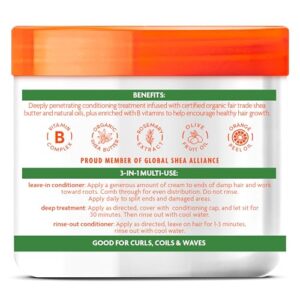 Cantu Leave-In Conditioning Repair Cream with Shea Butter, 16 oz (Pack of 2) (Packaging May Vary)