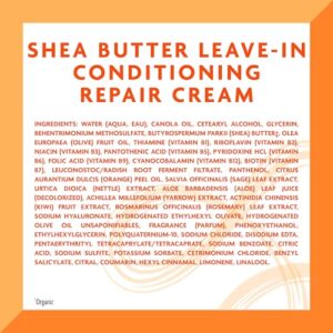 Cantu Leave-In Conditioning Repair Cream with Shea Butter, 16 oz (Pack of 2) (Packaging May Vary)