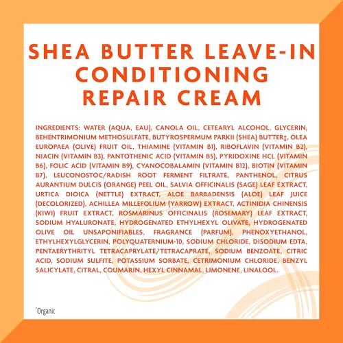 Cantu Leave-In Conditioning Repair Cream with Shea Butter, 16 oz (Pack of 2) (Packaging May Vary)