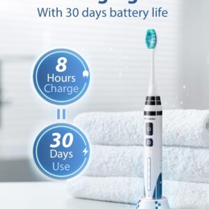 ORAL MASTER Electric Toothbrush for Adults, Sonic Rechargeable Toothbrush with 5 Modes and 42,000 VPM, 3 Brush Heads Travel Electric Toothbrush Fast Charge for 30 Days