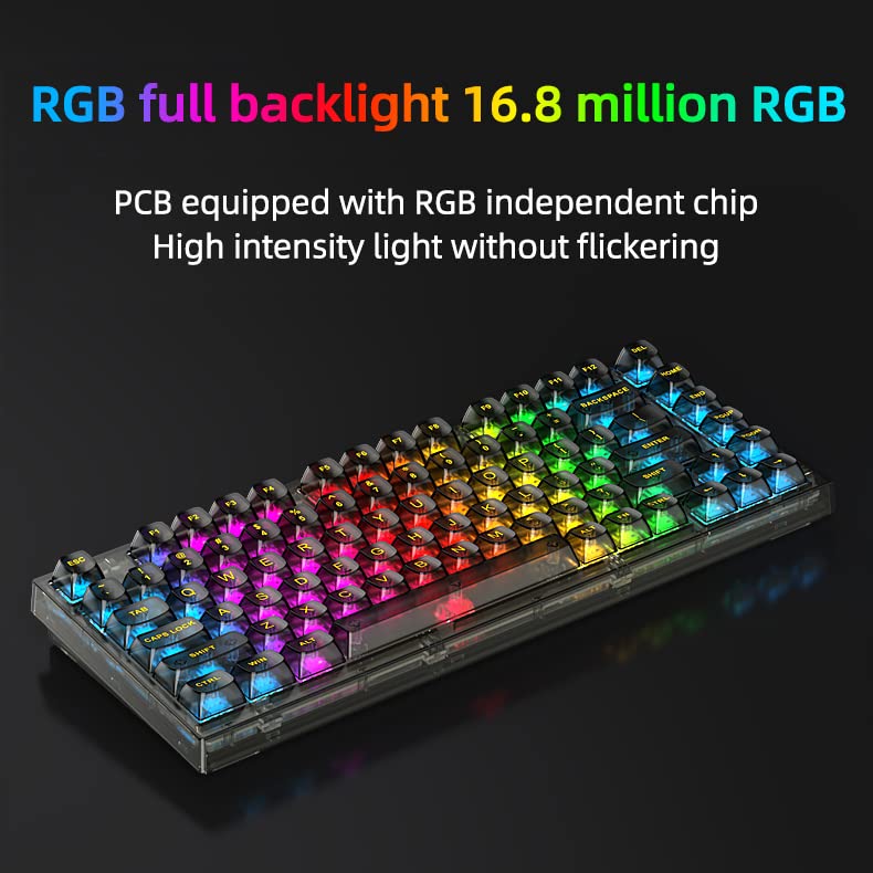 KEYXGSUL 75% Keyboard, X75 Hot Swappable Mechanical Keyboard, 82 Keys Compact Gaming RGB Keyboard with Stand-Alone Arrow/Control Keys for Windows and Mac (Crystal White Switch, Transparent Black)