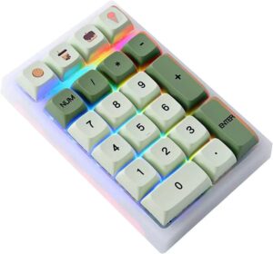 boyi td21 hot swappable numpad,21 keys mini numpad portable keypad bluetooth 5.0/2.4ghz/wired number pad keyboard pbt keycaps rgb backlit type-c mini keyboard (matcha green xda keycaps)