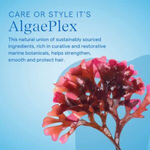 AQUAGE. Thickening Spray Gel, For Fine or Thin Hair Types - With Exclusive Ultraflex Polymer Technology and AlgaePlex Sea Botanicals, Adds Body and Vitality, Firm Hold, 8 oz