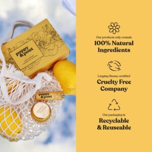 Poppy & Pout Lip Care Set | Lip Balm & Scrub | Sustainable Cardboard Tubes & Glass Jars, All Natural, Beeswax, Coconut Oil, Cruelty Free, Exfoliating & Moisturizing Lip Treatment (Marshmallow Cream)