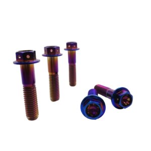 RISON Titanium Bolts Titanium Flange Hex Head Bolts Burnt Blue GR5 Titanium Screws M10x1.25x60mm Titanium Bolt Pack of 5