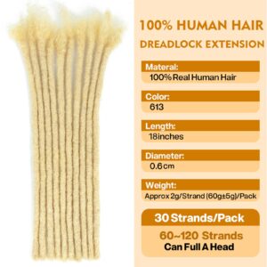 6-18 Inch Dreadlock Extensions Human Hair Fully Handmade Human Hair Dreadlock Extensions for Man/Women Locs Extensions Human Hair Can Be Dyed Bleached Curled… (18Inch-30Strands, 0.6CM Width-613#)