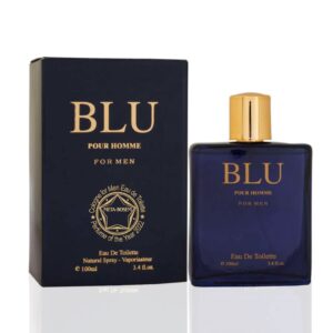 meta-bosem blu pour homme, men's cologne eau de toilette natural spray - citrusy and musky - great holiday gift - for all day use - a classic bottle, 3.4 fluid ounce/100ml