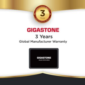 Gigastone SATA SSD 120GB (2-Pack) 2.5 inch SSD 500MB/s Upgrade Laptop PC Memory and Storage PS4 HDD Replacement 2.5" Internal Solid State Hard Drives SATA III SLC Cache 3D NAND Increase Performance