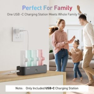 iWALK Charger Station for Portable Charger 4500mAh,4800mAh, 5000mAh, Power Bank for iPhone Charging Station Multiple USB-C Family-Sized Charger Station for Home(Station Only),Black