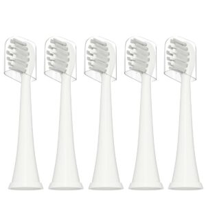 replacement toothbrush heads compatible with tao clean electric toothbrush replacement heads,5 pack,white