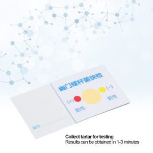 10Pcs Helicobacter Pylori Test Paper Home Travel H Pylori Teste Strips 1 to 3 Minutes Fast H P Test Paper for Home Use Care