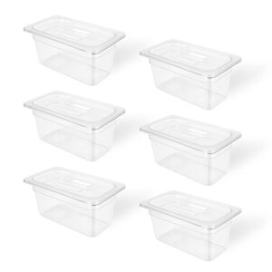 tenup 6 pack 1/3 size 6'' deep clear polycarbonate food pan with lid, commercial