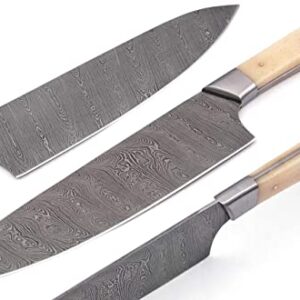 Handmade Damascus Chef Knife Best 8-inch Chefs Knife Ultra Sharp, Professional Damascus Steel Knives Choice for Kitchen & Restaurant, Twist Pattern Damascus Kitchen Knife With Bone Handle (20002)