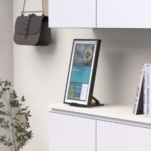 Almoz Show 15 Stand Aluminum, Tilt Stand for Show 15.6" Smart Display and Up to 18" iPad/Tablets, with Storage Tray, Compact Size, Durable and Stable (Black)