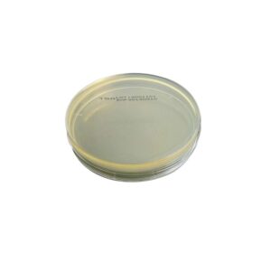 ultechnovo potato dextrose agar plates, prepoured potato dextrose agar pda petri dishes - excellent growth medium - mushrooms & science fair projects