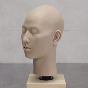 SFXKOREA SFX.Silicone Dummy Head (Man 1), Medical Research and Testing, Medical Demonstration, Medical Training, Hairdressing Training, Display Manequin