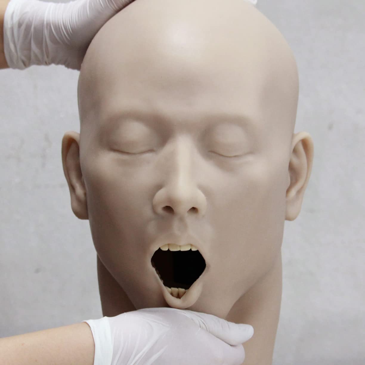 SFXKOREA SFX.Silicone Dummy Head (Man 1), Medical Research and Testing, Medical Demonstration, Medical Training, Hairdressing Training, Display Manequin