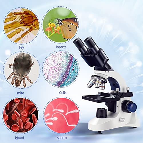 Binocular Microscope Adults 40X-1000X led Illumination Professional Compound Microscope for Kids Students Electric Eyepiece, Slides，Mobile Phone Holder…