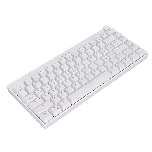 Threemode Mechanical Keyboard, Dynamic RGB Backlight, Three Modes, White Mechanical Keyboard, Compact Size for Home Office Gaming (Red Switch)