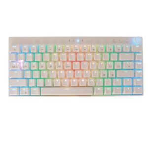 Threemode Mechanical Keyboard, Dynamic RGB Backlight, Three Modes, White Mechanical Keyboard, Compact Size for Home Office Gaming (Red Switch)