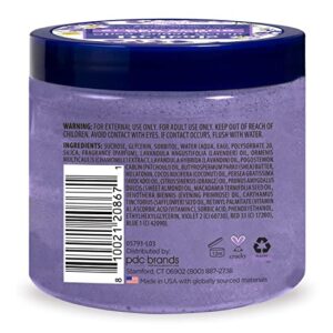 Dr Teal's Shea Sugar Sleep Scrub, with Melatonin, Lavender, & Essential Oils, 19oz (Pack of 3)