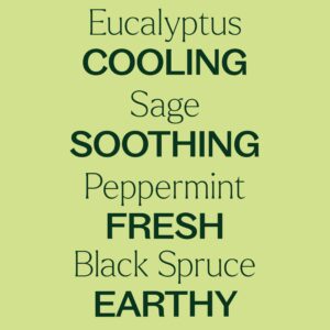 Plant Therapy Eucalyptus Sage Body Cream 8 oz Restore Softness & Ultra Hydration, Vitamins and Antioxidants to Soften, Smooth, and Firm Skin