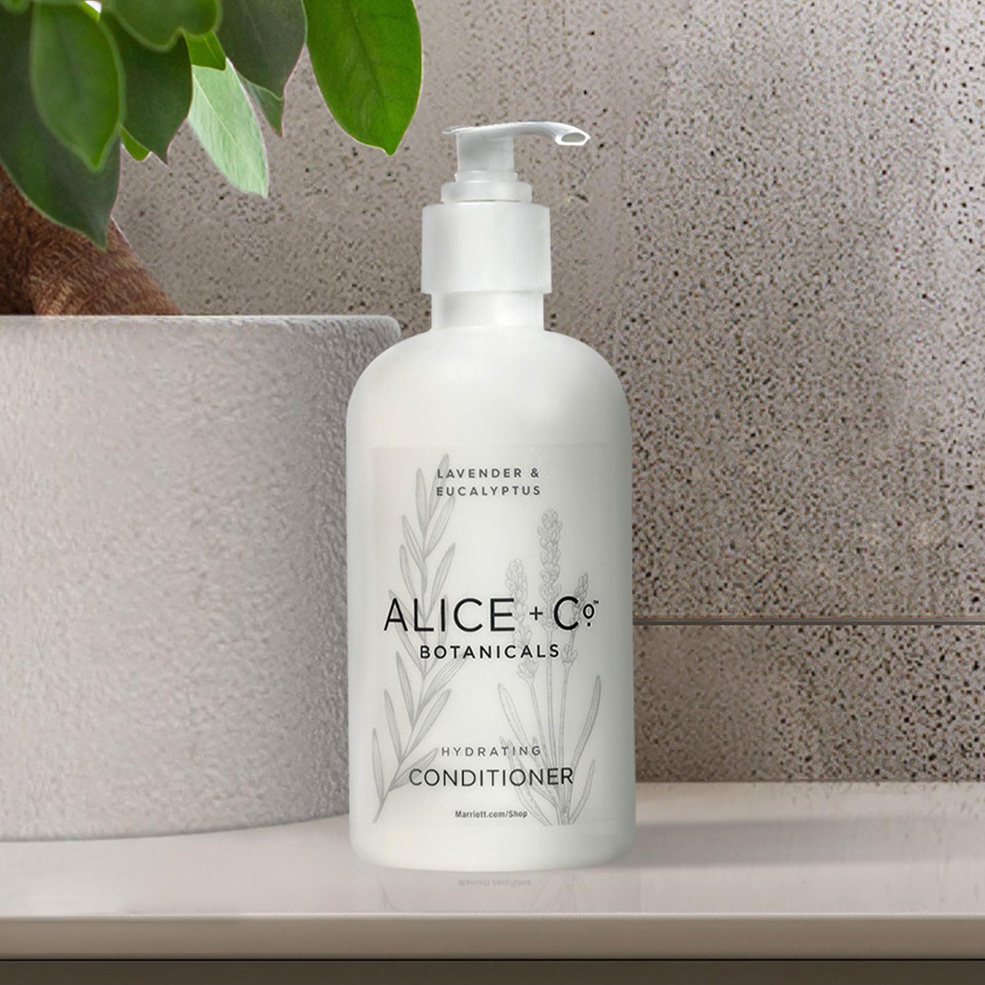 Alice + Co. Conditioner - Fairfield by Marriott - TownePlace - SpringHill - Hotel Bath Amenities - Lavender & Eucalyptus - 8.5 oz Conditioner