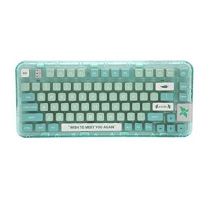 asixxsix mechanical gaming keyboard, 80 keys rgb backlit wireless bluetooth pc keyboard gasket structure rechargeable wired keyboard with transparent case and 2 layers keycaps for computer (green)