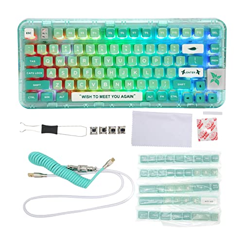 Asixxsix Mechanical Gaming Keyboard, 80 Keys RGB Backlit Wireless Bluetooth PC Keyboard Gasket Structure Rechargeable Wired Keyboard with Transparent Case and 2 Layers Keycaps for Computer (Green)