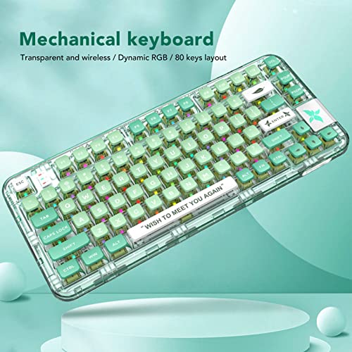 Asixxsix Mechanical Gaming Keyboard, 80 Keys RGB Backlit Wireless Bluetooth PC Keyboard Gasket Structure Rechargeable Wired Keyboard with Transparent Case and 2 Layers Keycaps for Computer (Green)