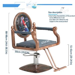 DFONCE Barber Chair Salon Hairdressing Barber Chair,Hydraulic Barber Chair Salon Hair Beauty Chair Styling Equipment,C (Color : B)