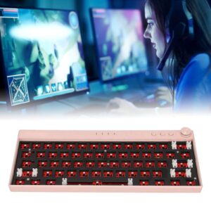 61 Keys Mechanical Keyboard DIY Kit, 61 Keys DIY Mechanical Keyboard Kit Switch Hot Swap for Gaming ()