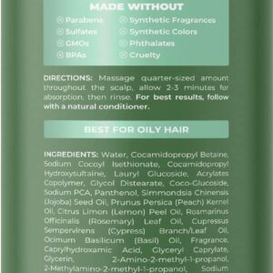 Tea Tree Shampoo and Conditioner for Men and Women - Degrease Formula for Oily Hair and Scalp, Sulfate-Silicone-Paraben Free with Essential Oils, 8oz Each