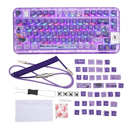 Dilwe Wireless Mechanical Gaming Keyboard, 80 Keys 3 Modes RGB Backlight Hot Swappable Keyboard, Wireless, BT, USB C Ergonomic Keyboard, 3750mAh Battery