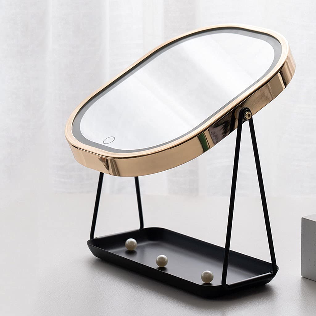 DYPASA Vanity Mirror Desktop LED Makeup Mirror with Light and Fill Light Beauty Mirror Desktop Makeup Mirror with Light Rechargeable (Large Size) Household Cosmetic Mirror