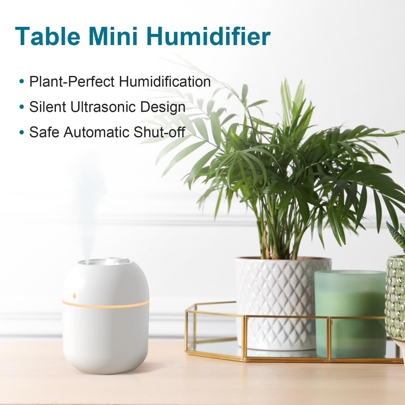 Portable Small Humidifier, USB Personal Desktop Humidifier for Car, Office Room, Bedroom, Auto Shut-Off, 2 Mist Modes, Super Quiet(220ml, White)