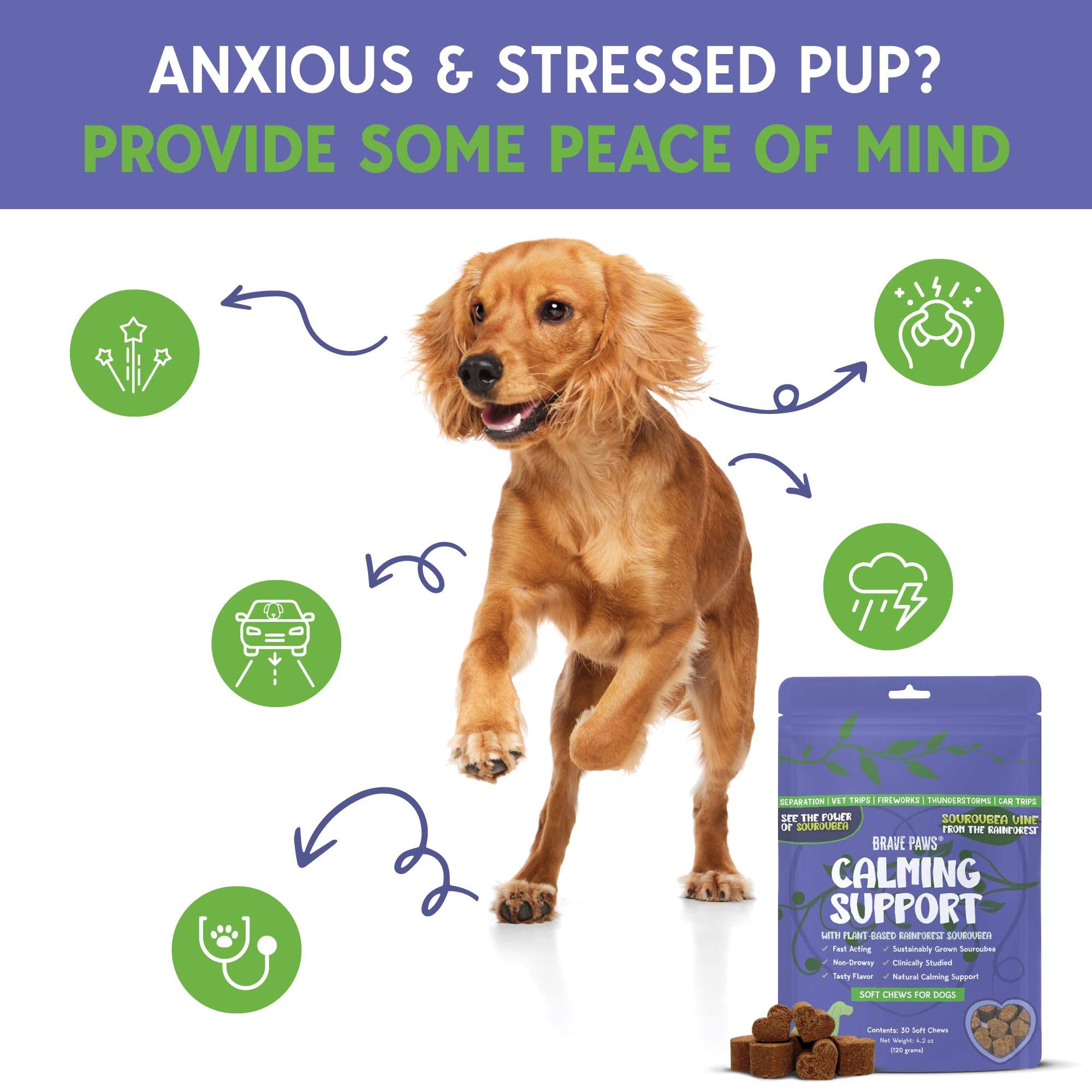 Calming Chews for Dogs Anxiety | Puppy & Dog Anxiety Relief Treats with Natural Souroubea | Calm Aid During Stress, Thunder, Storm, Separation, Car Travel, Motion, and Fireworks | Beef Flavor