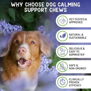 Calming Chews for Dogs Anxiety | Puppy & Dog Anxiety Relief Treats with Natural Souroubea | Calm Aid During Stress, Thunder, Storm, Separation, Car Travel, Motion, and Fireworks | Beef Flavor