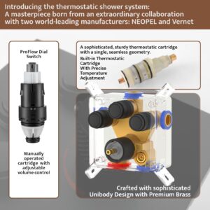 SHOYELA Thermostatic Shower System Matte Black, Push Button Diverter Shower Faucet with 2 in 1 Handheld, Ceiling Mount 12 Inch Shower Head with 6 Inch Wall Mount Shower Head