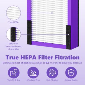 IMPROVEDHAND FLT4850PT HEPA Replacement Filter B Pet Compatible With G-Guardian Purifier AC4850,AC4825, AC4300,AC4870,AC4900,CDAP4500,AC4300, AP2200, 4x True HEPA Filter + 8x Pre-Filters