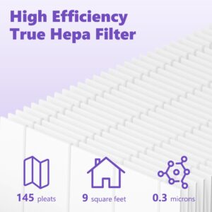 IMPROVEDHAND FLT4850PT HEPA Replacement Filter B Pet Compatible With G-Guardian Purifier AC4850,AC4825, AC4300,AC4870,AC4900,CDAP4500,AC4300, AP2200, 4x True HEPA Filter + 8x Pre-Filters