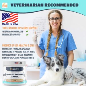 Best Natural Health Supplements for Dogs, Various Formulas & Benefits - Vet Recommended, 170 Natural Soft Chews - Smoky Bacon Flavor, Made in The USA (Hip&Joint Mobility Support)