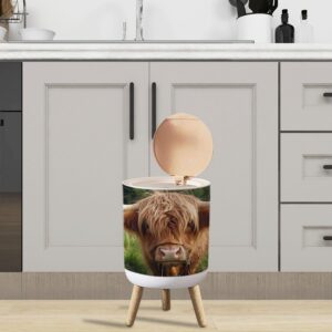 LGCZNWDFHTZ Small Trash Can with Lid for Bathroom Kitchen Office Funny Hairy Cow Highland Cattle Close up Garbage Bin Waste Basket Decorative 1.8 gallons, 14x9inch